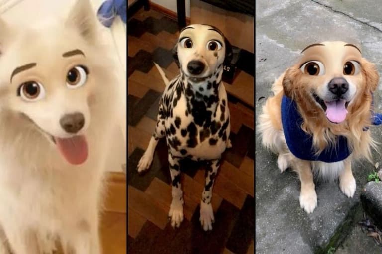 ¿Cómo convertir a tu perro en un tierno personaje de Disney con un ...