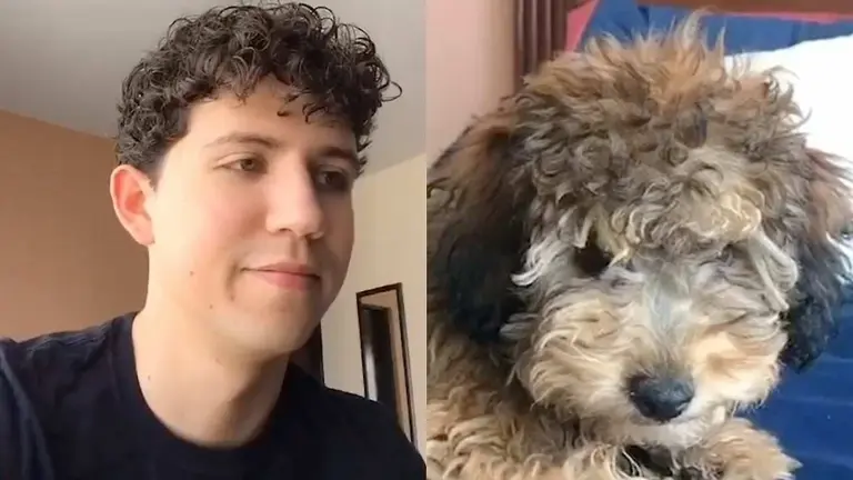 ¿Los perros se parecen a sus dueños? Este video confirma la teoría ...