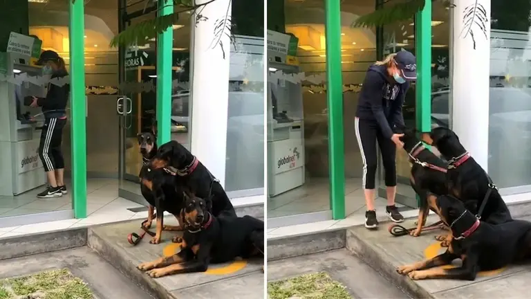 Como guardaespaldas: Esta mujer se volvió viral por asistir al cajero ...