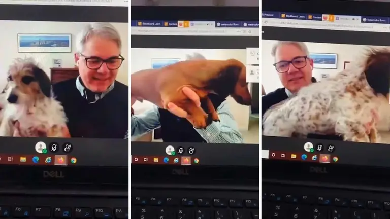 Profesor provoca ternura a sus alumnos al presumir a sus perritos ...