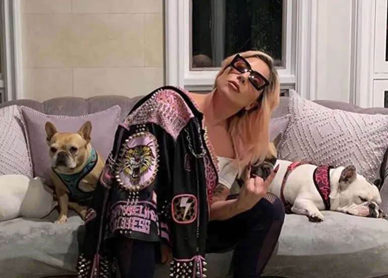 El paseador de perros de Lady Gaga reveló cómo sobrevivió: 'un ángel se ...