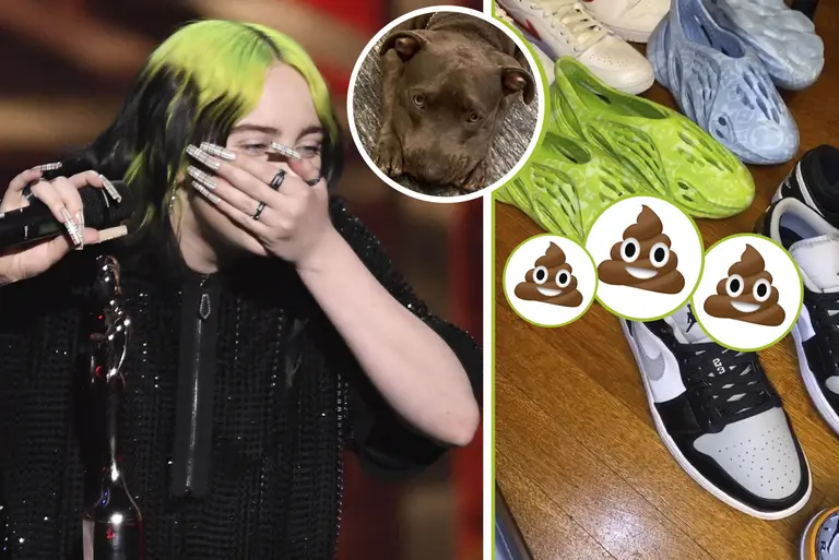 La reacción de Billie Eilish al descubrir que su perro le arruinó miles ...