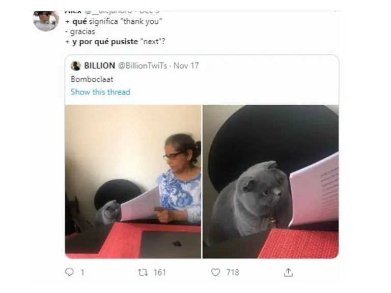 Los mejores memes del gato regañado por la respuesta de su examen ...