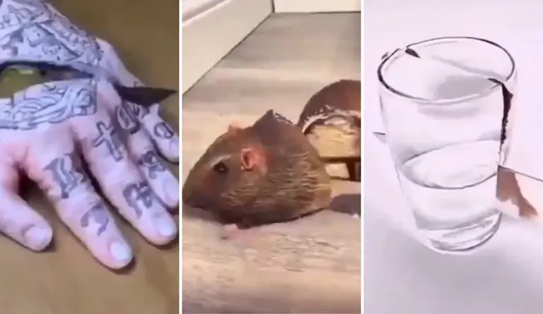 Desde una mano, hasta una rata y comida: estos pasteles hiperrealistas ...